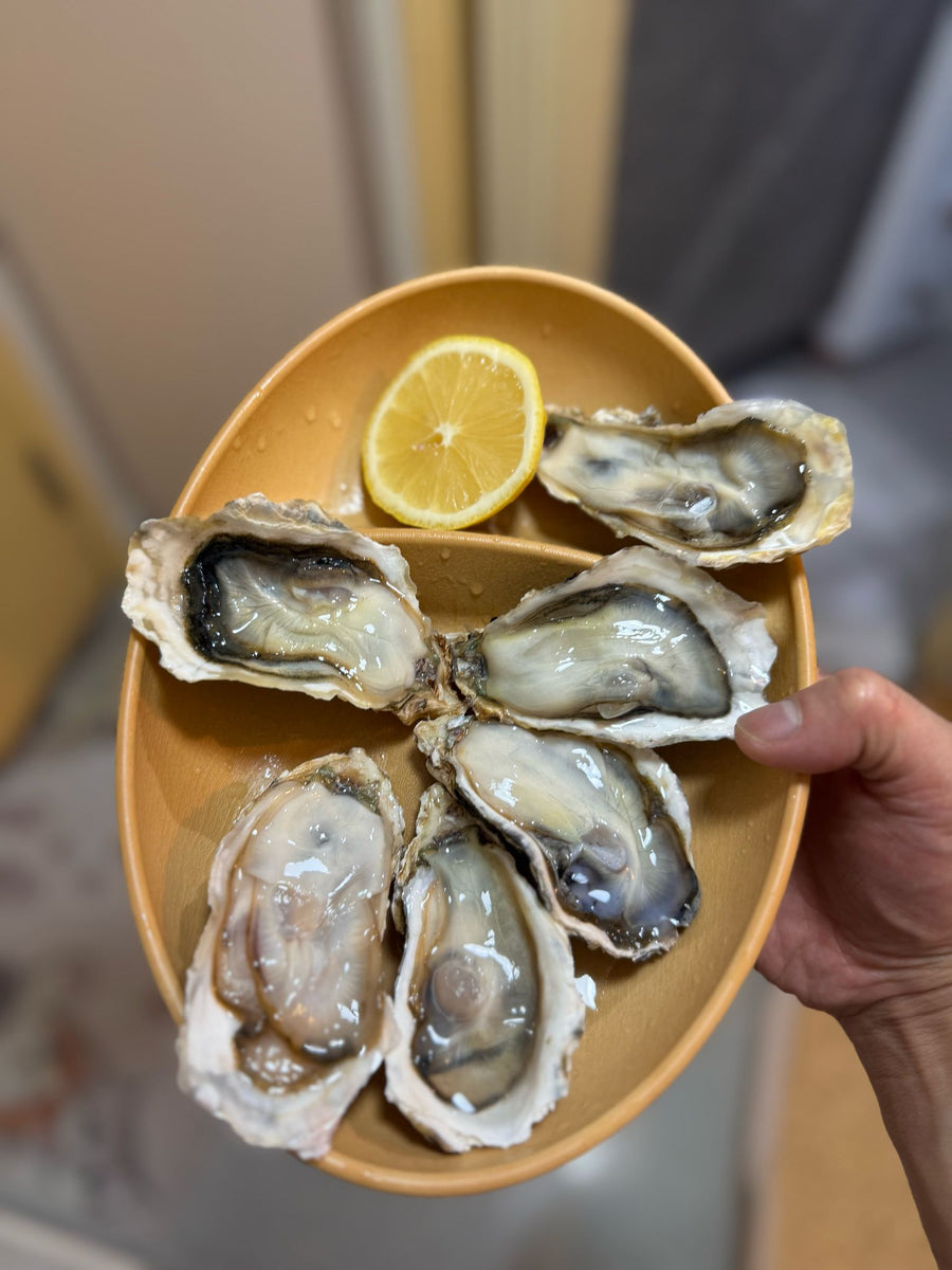 (6 Pieces) Frozen Japan Tsudau Sashimi Full Shell Oyster / (6隻裝) 急凍日本室 ...